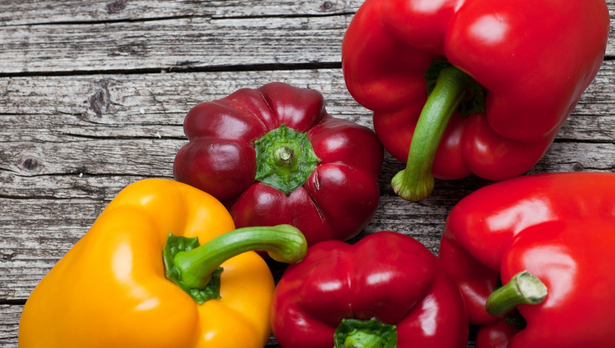 La famille des poivrons et des piments