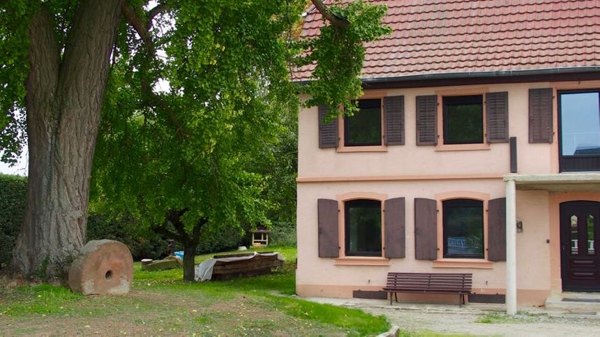 Le plus beau village: Baldersheim