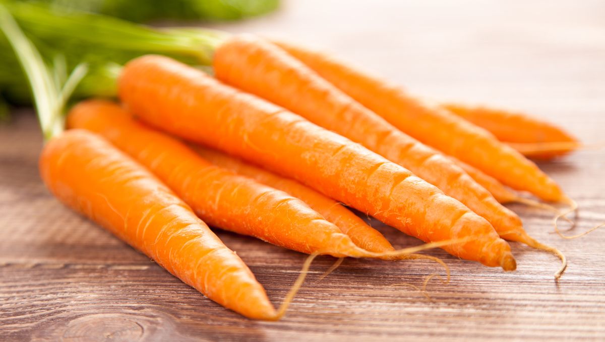 La carotte sans le baton