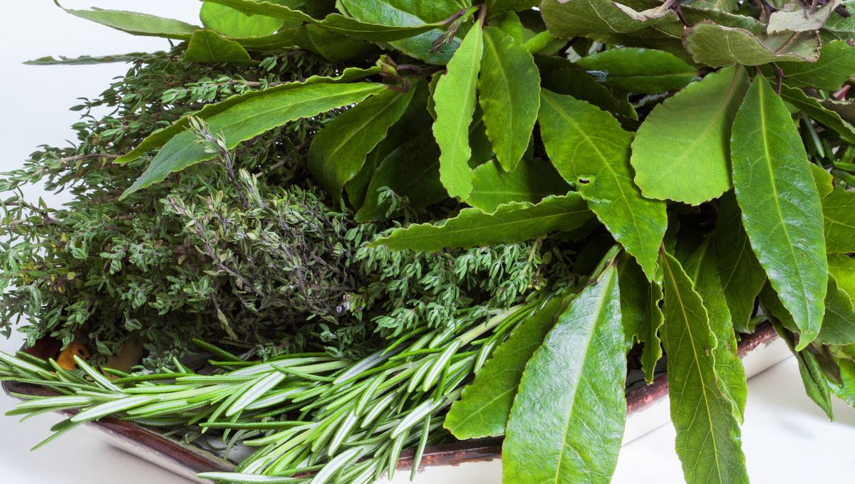 Un bouquet de thym et laurier