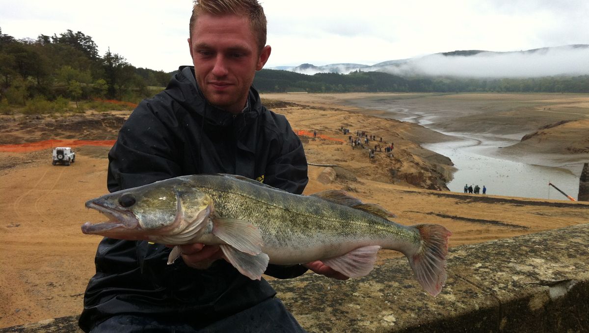 Demain, c'est l'ouverture de la pêche aux carnassiers