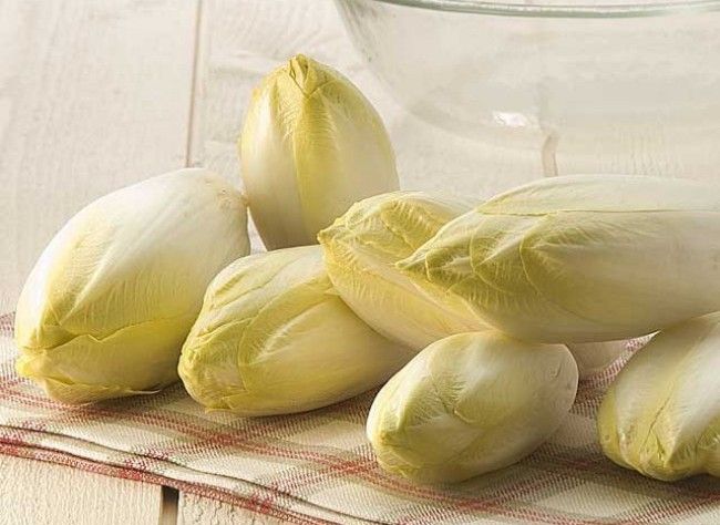 On cuisine ensemble un velouté d'endives à la tomme limousine