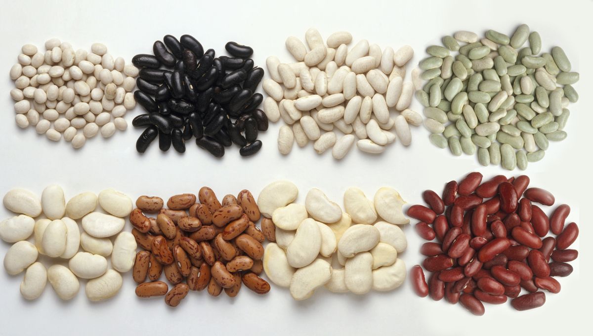 La faim des haricots