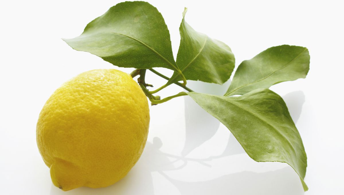 Boulettes de veau aux feuilles de citron