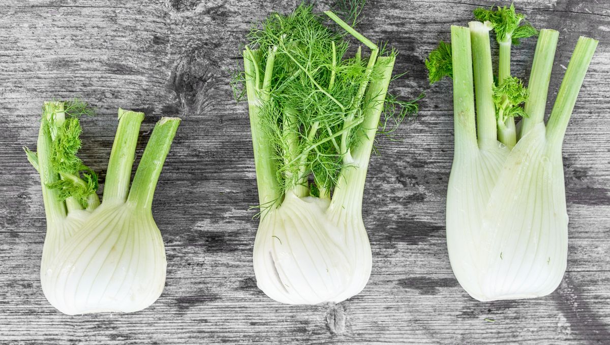 On cuisine ensemble: Du fenouil : Au parfum d'anis, le fenouil est un ...