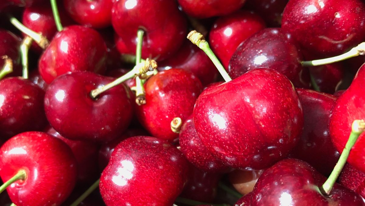 Les Toqués - Les Cerises