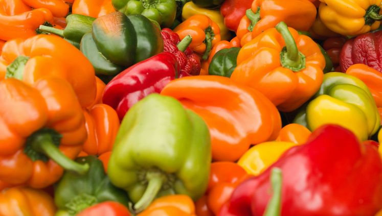 Les poivrons