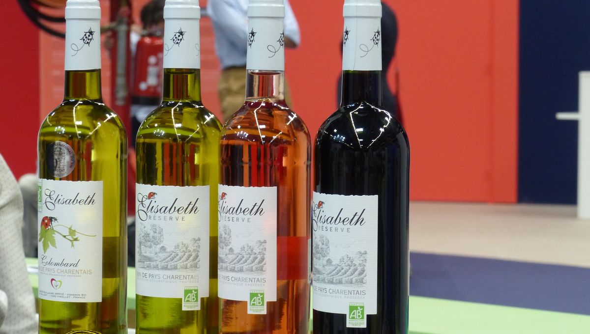 Pourquoi le vin bio a tant de succès