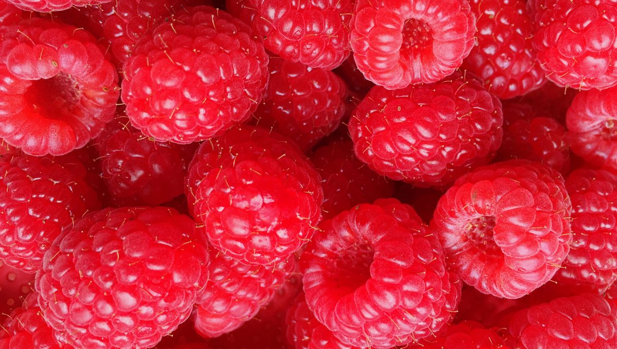Les framboises