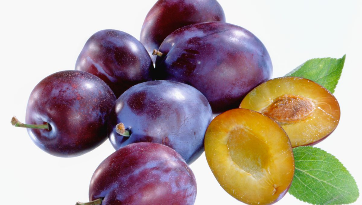 La mousse de quetsches de Jean-Luc Timmel