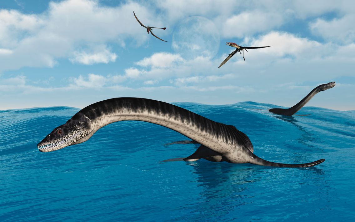 On a découvert le plus ancien plésiosaure au monde