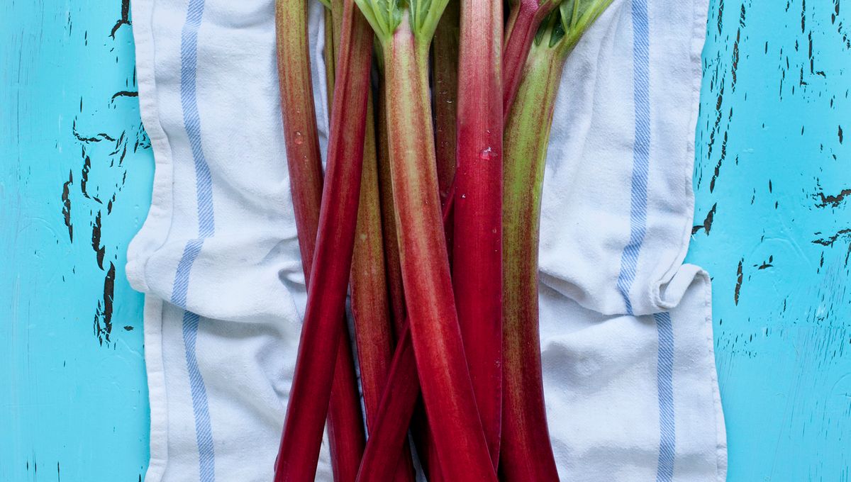 la rhubarbe