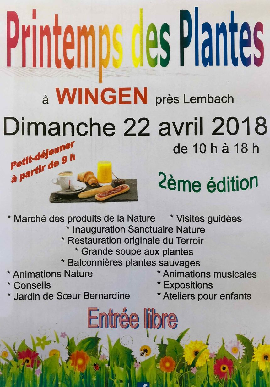 Le plus beau village: Wingen, course du muguet