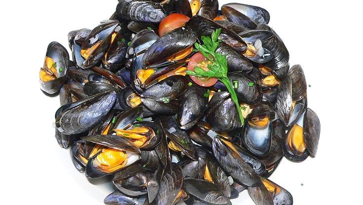 La moule AOP du Mont Saint Michel : 10 000 tonnes attendues dans nos ...