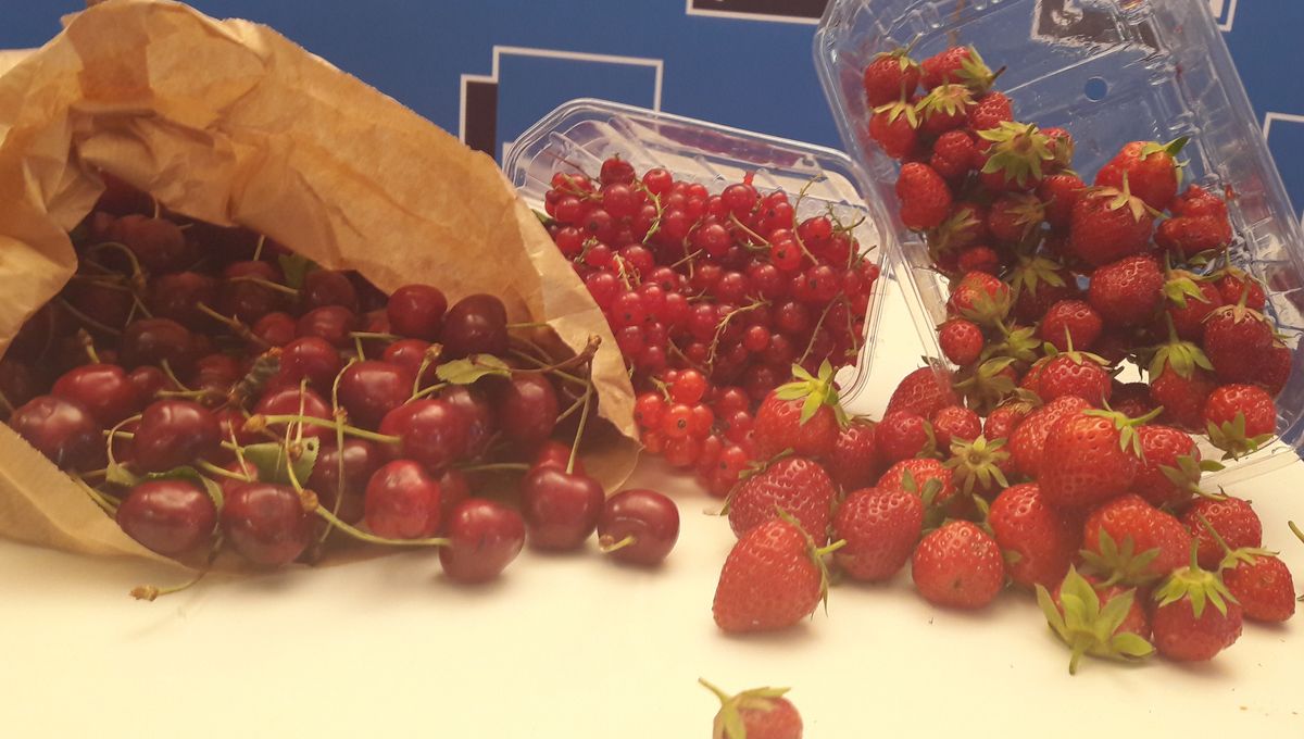 Les fruits rouges de Denise Chabanon dans l'Allier