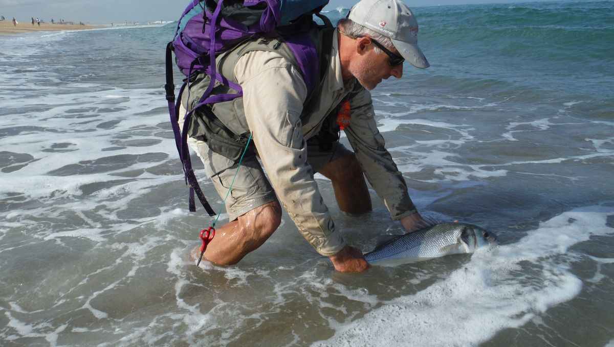 La pêche au filet fixe, vue par Philippe Garcia, pêcheur dans les ...