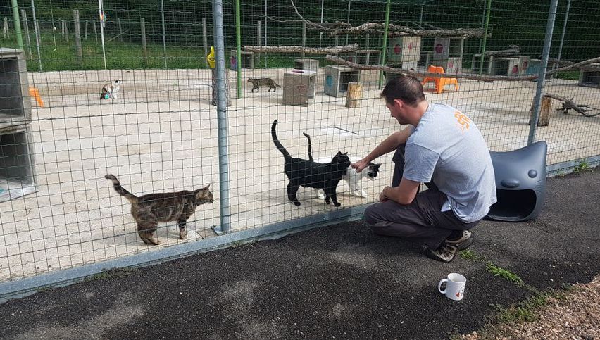 Le refuge SPA de Luynes : un coeur gros comme ça
