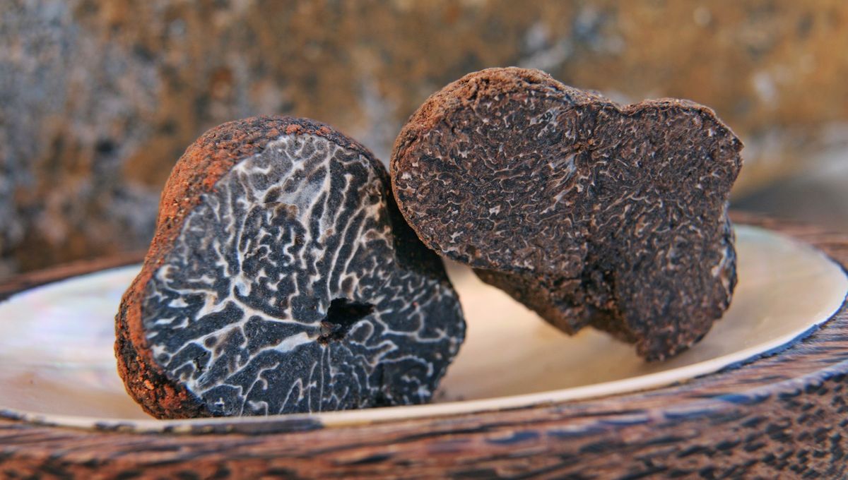 3 choses à savoir sur la truffe