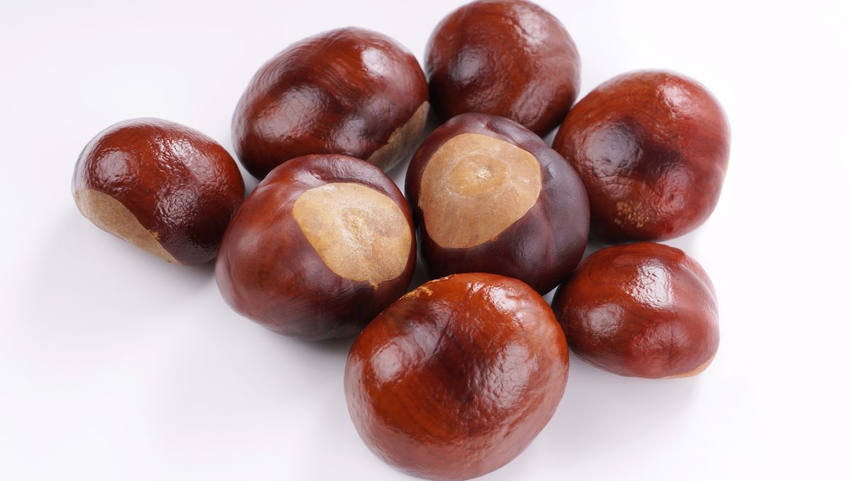 Des gourmandises à base de marrons