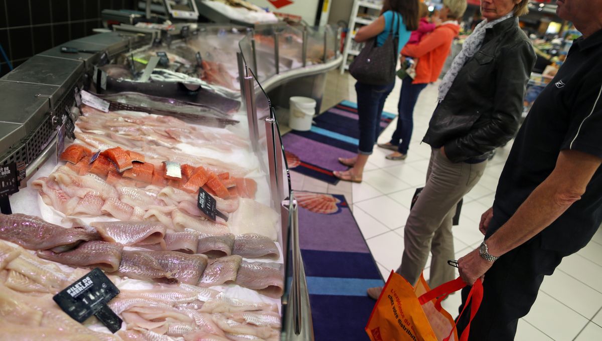 Neuf poissons sur 10 vendus en supermarché proviennent d'une pêche "non ...