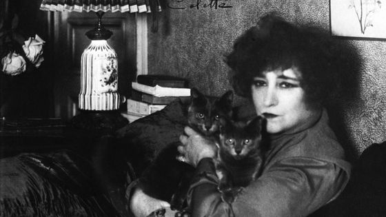 Colette ou la langue parfaite massacrée par les chats