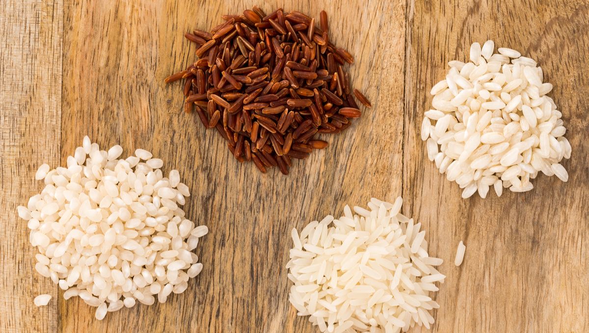 Le riz, de l'entrée au dessert