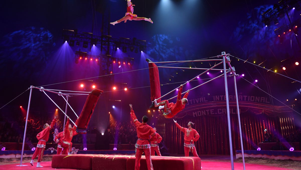 A 80 km de chez nous, un des plus grands festivals de cirque au monde