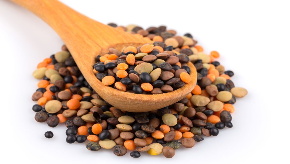 Les lentilles vertes, brunes, blondes, corail...d'Aurélie Mermet