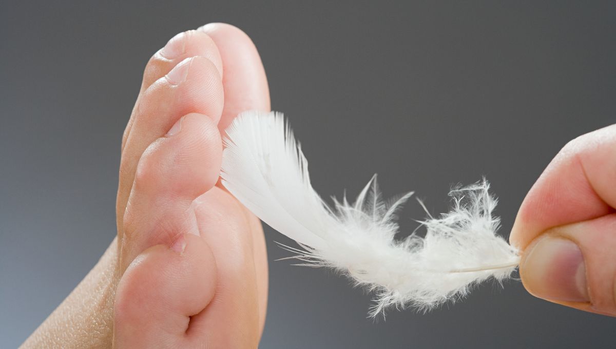 Ca vous chatouille ou çà vous gratouille