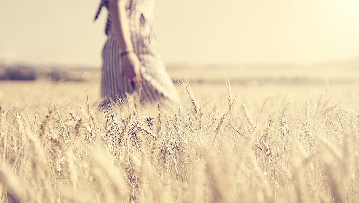 Redécouvrir la nature avec Rousseau