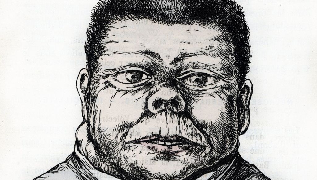 Le "crétin" vient-il des Alpes