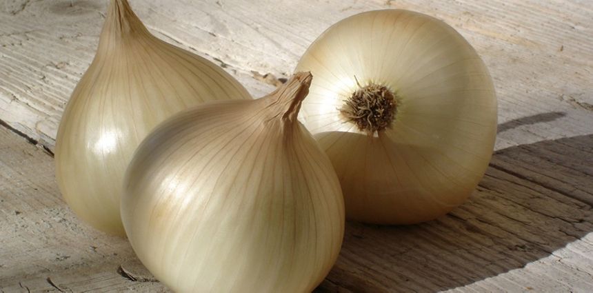 Oignons Doux des Cévennes