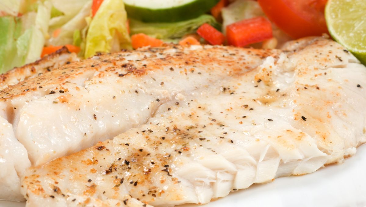 Cuisinons un filet de bar à la plancha & fenouil