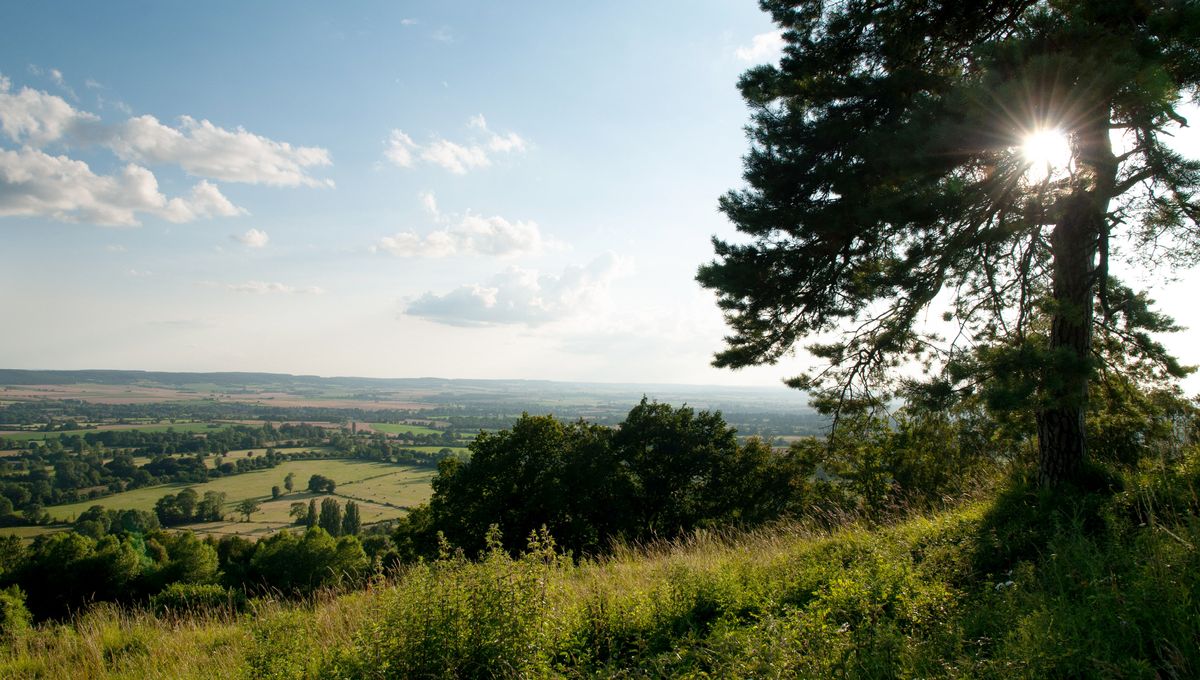 Mont-Ormel - Le coteau de la Frênée