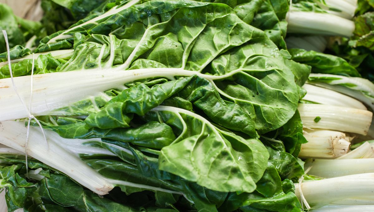 La blette, entre betterave et épinard