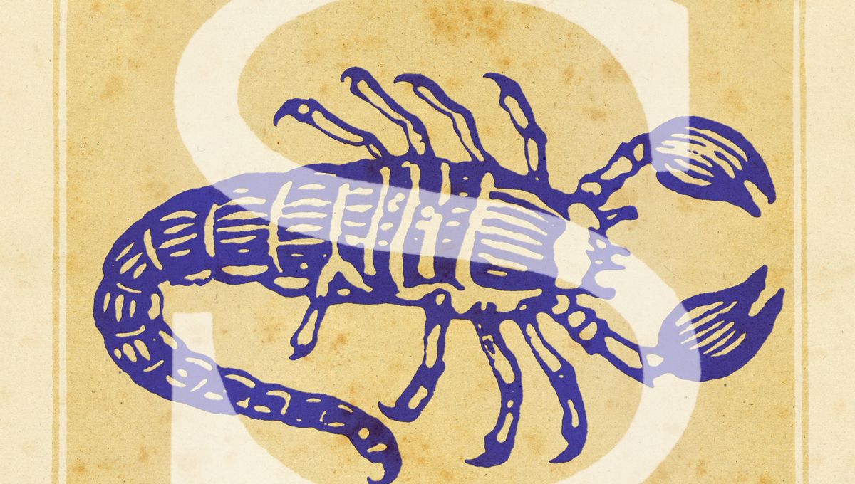 Le portrait des scorpions