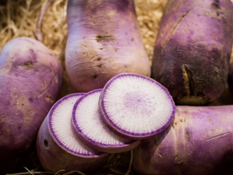 Les Légumes anciens d'Olivier Ceyte et la Fête de la Gastronomie à Bonnieux
