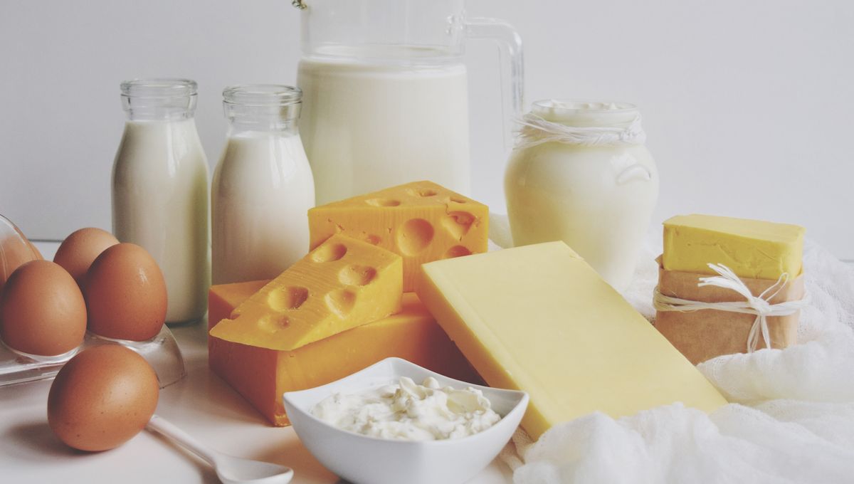 Consommation de lait et laitages, les conseils de notre diététicienne ...