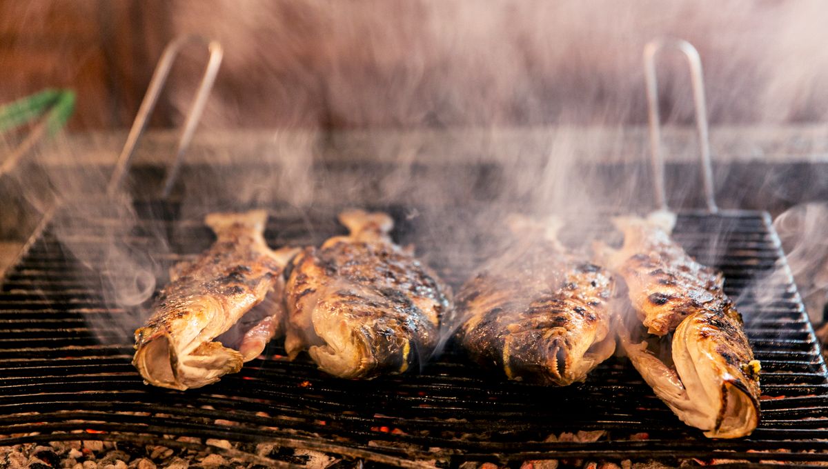 Le Poisson grillé,du soleil dans l'assiette