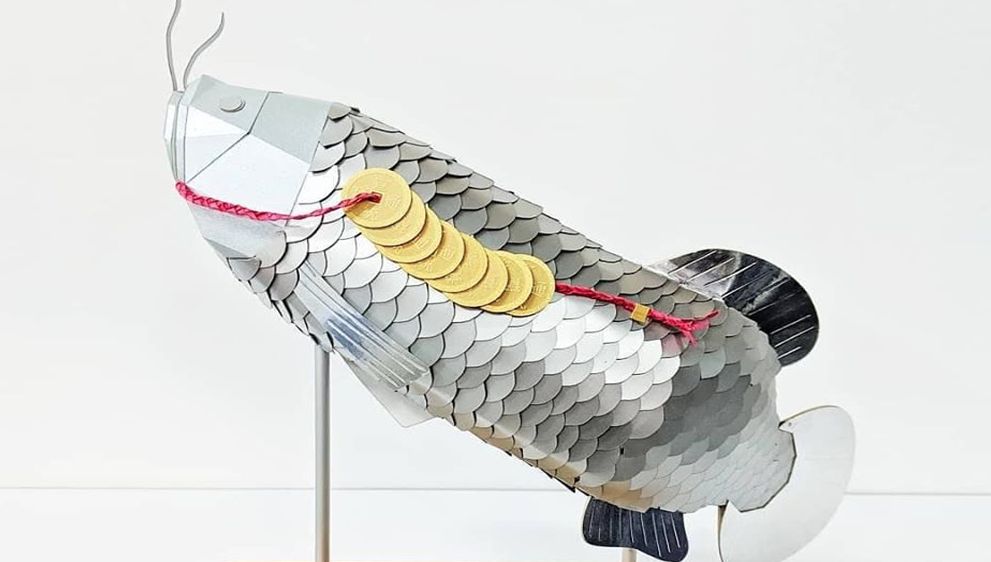 Poissons sacrés de Chine et d’Asie