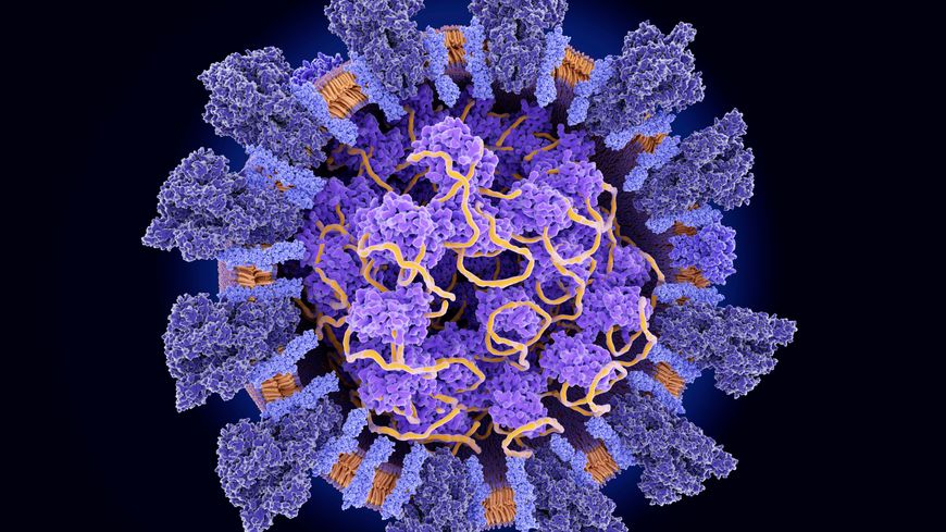 Le virus survit dans l'air, une étude qui ne doit pas alarmer