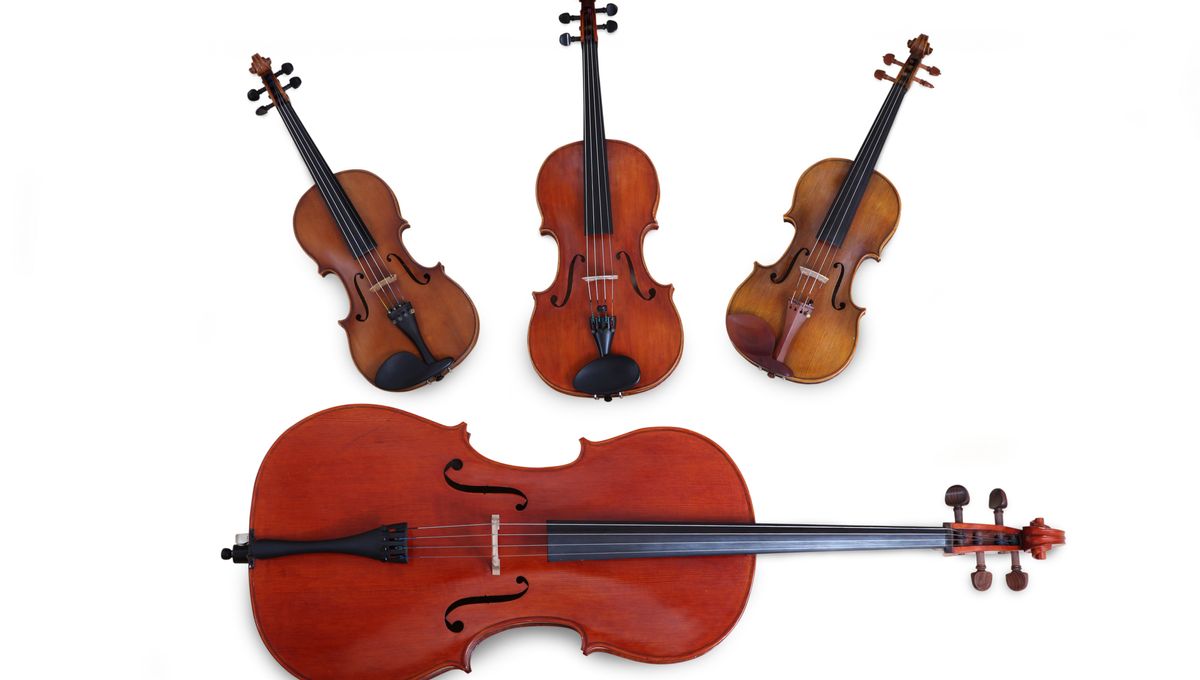 Viva l’Orchestra : les tutoriels pour les cordes