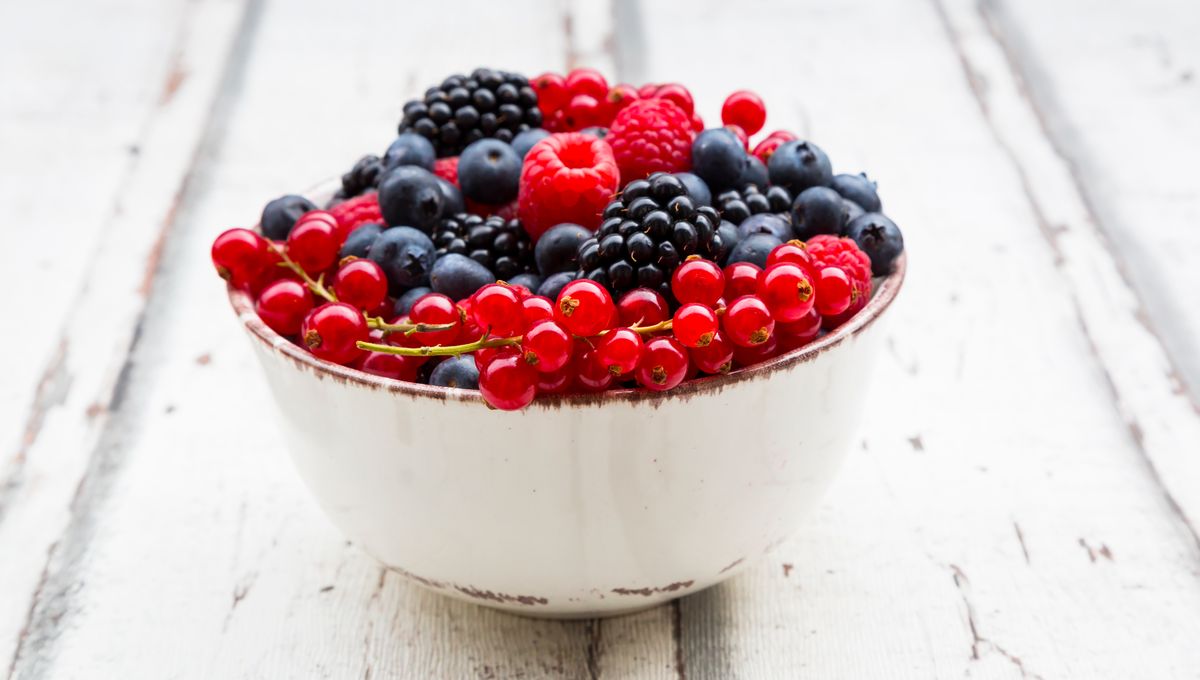Des fruits rouges tout l'été!
