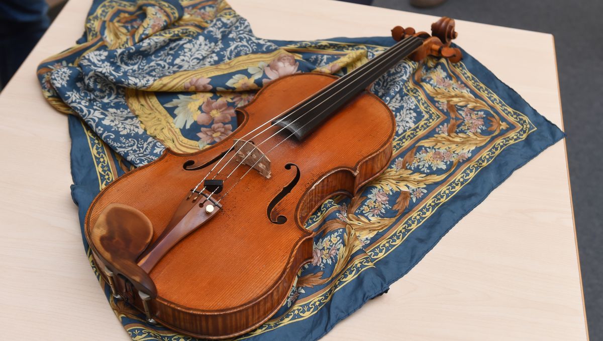 En musique, l’alto dans tous ses états