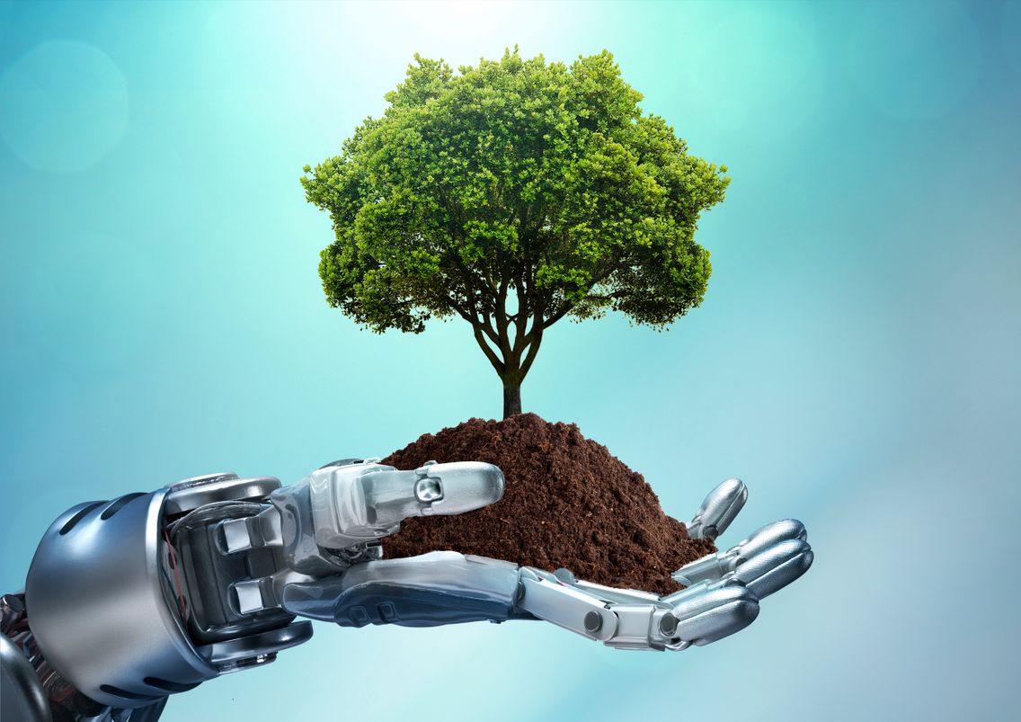 Des robots pour planter des arbres