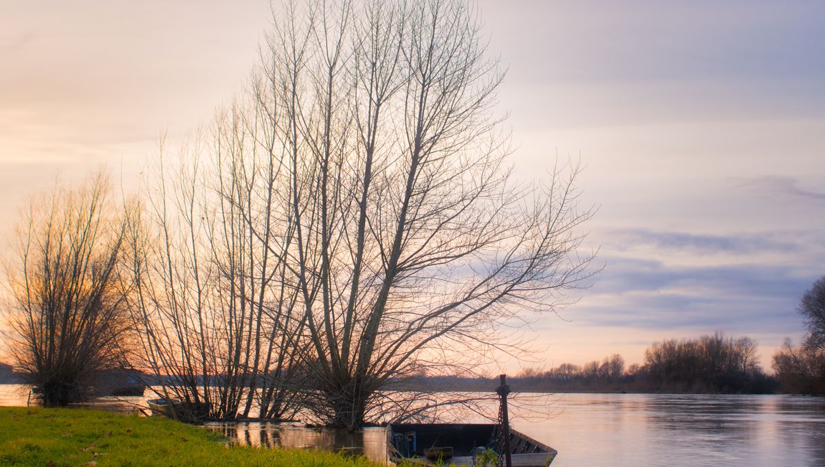 Quelques idées de balades dans la Sologne du Loiret