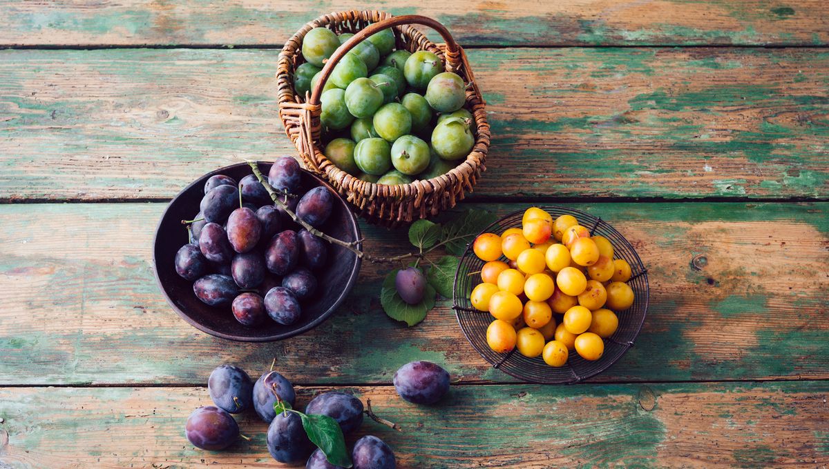 Préparer, cuisiner et déguster les prunes, toutes les prunes