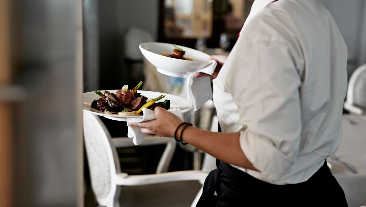Journée Mondiale des Cuisiniers : comment devient-on cuisinier ...
