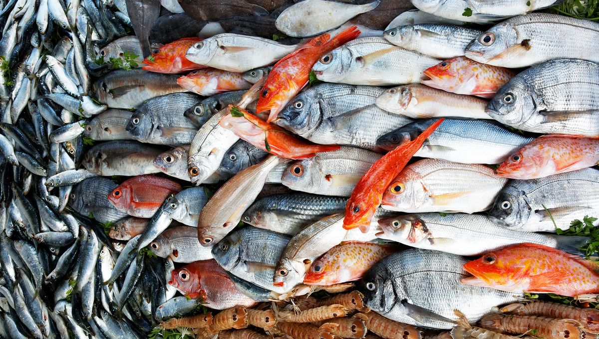 Le poisson en occitan