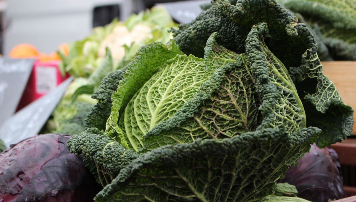 On cuisine le chou sur France Bleu Alsace